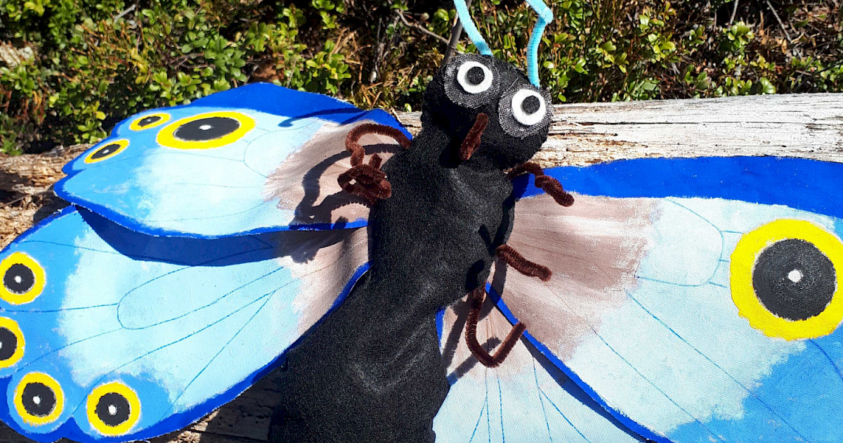 Kurran och Pigan på Äventyr! - Natur och miljö