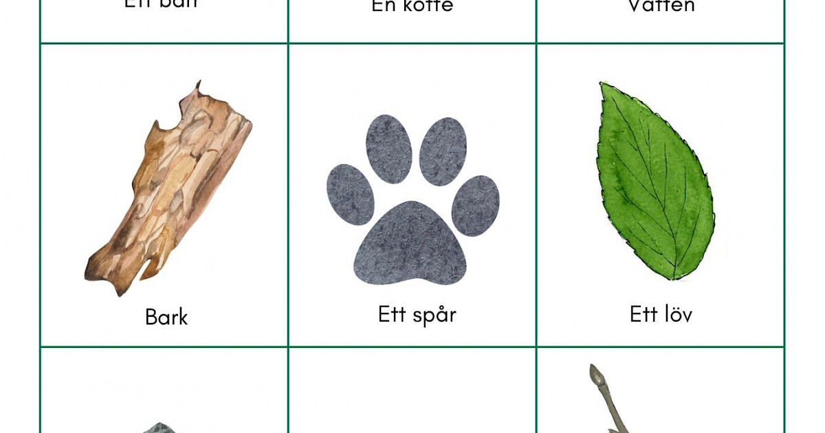 Naturbingo året runt - Natur och miljö