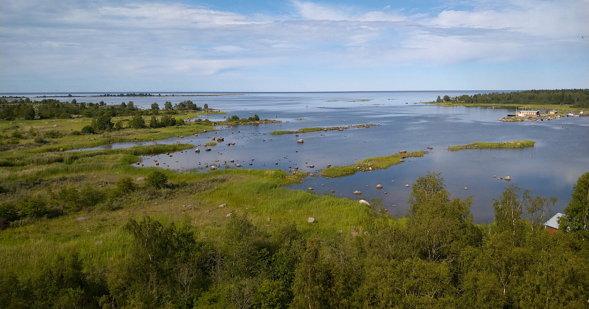 Regeringen vill försvaga vattenskyddet - Natur och miljö